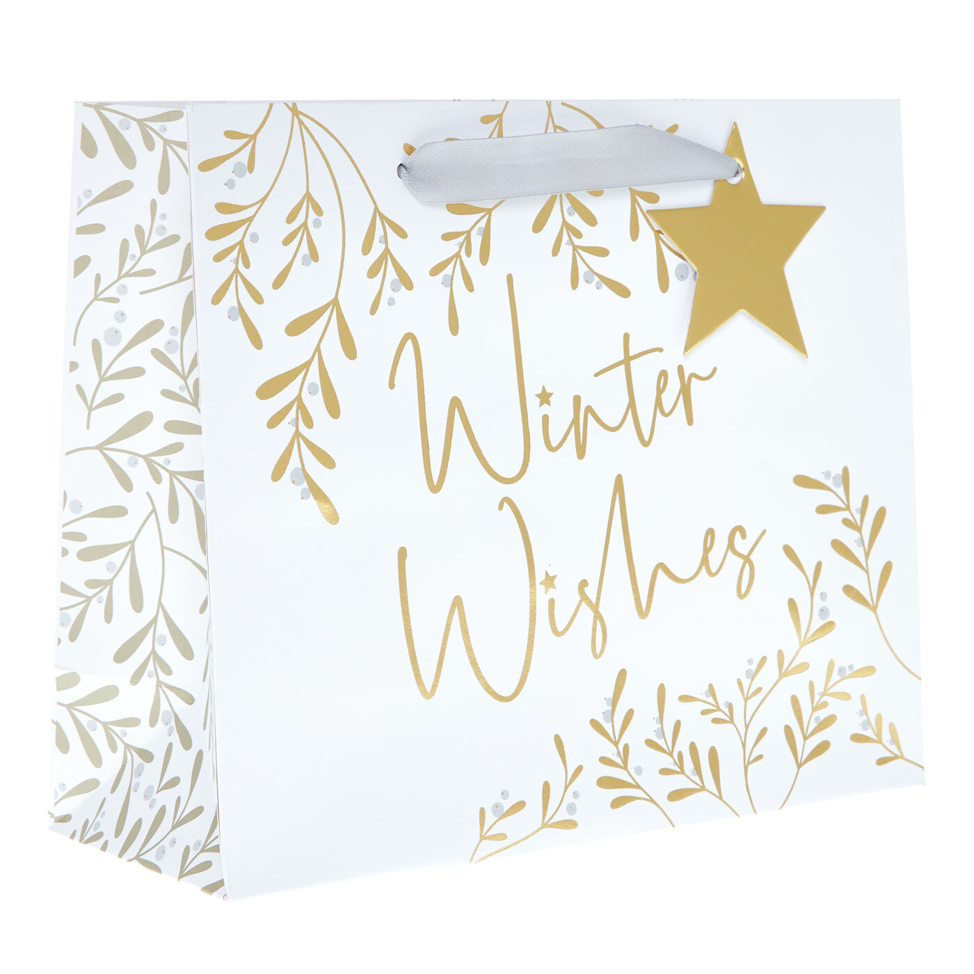 Buy Medium Landscape Winter Wishes Gift Bag for GBP 1.29 | Card Factory UK