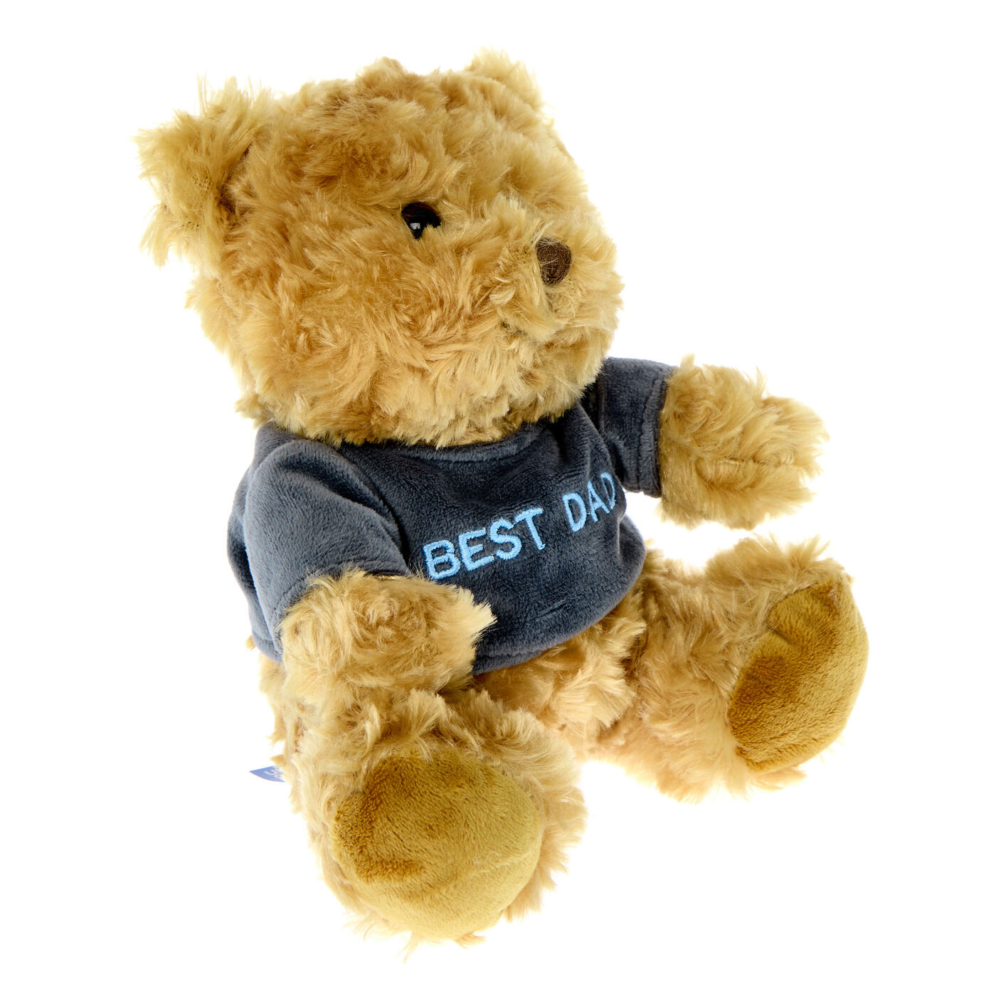 Buy Small Best Dad Bear Soft Toy for GBP 3.99 | Card Factory UK