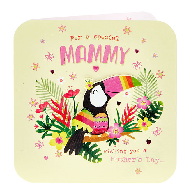 Mammy & Mam Mother’s Day Cards - cardfactory