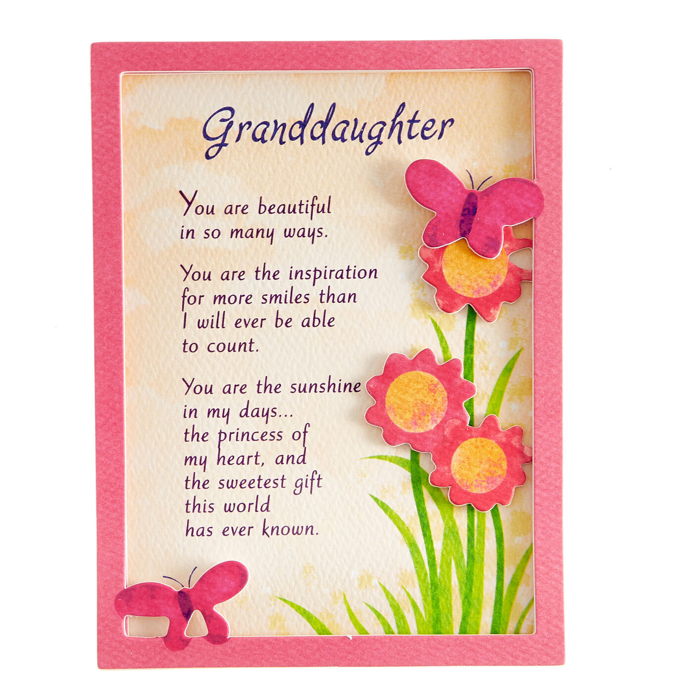 Buy Blue Mountain Arts Magnet With Stand - Granddaughter for GBP 2.99 ...