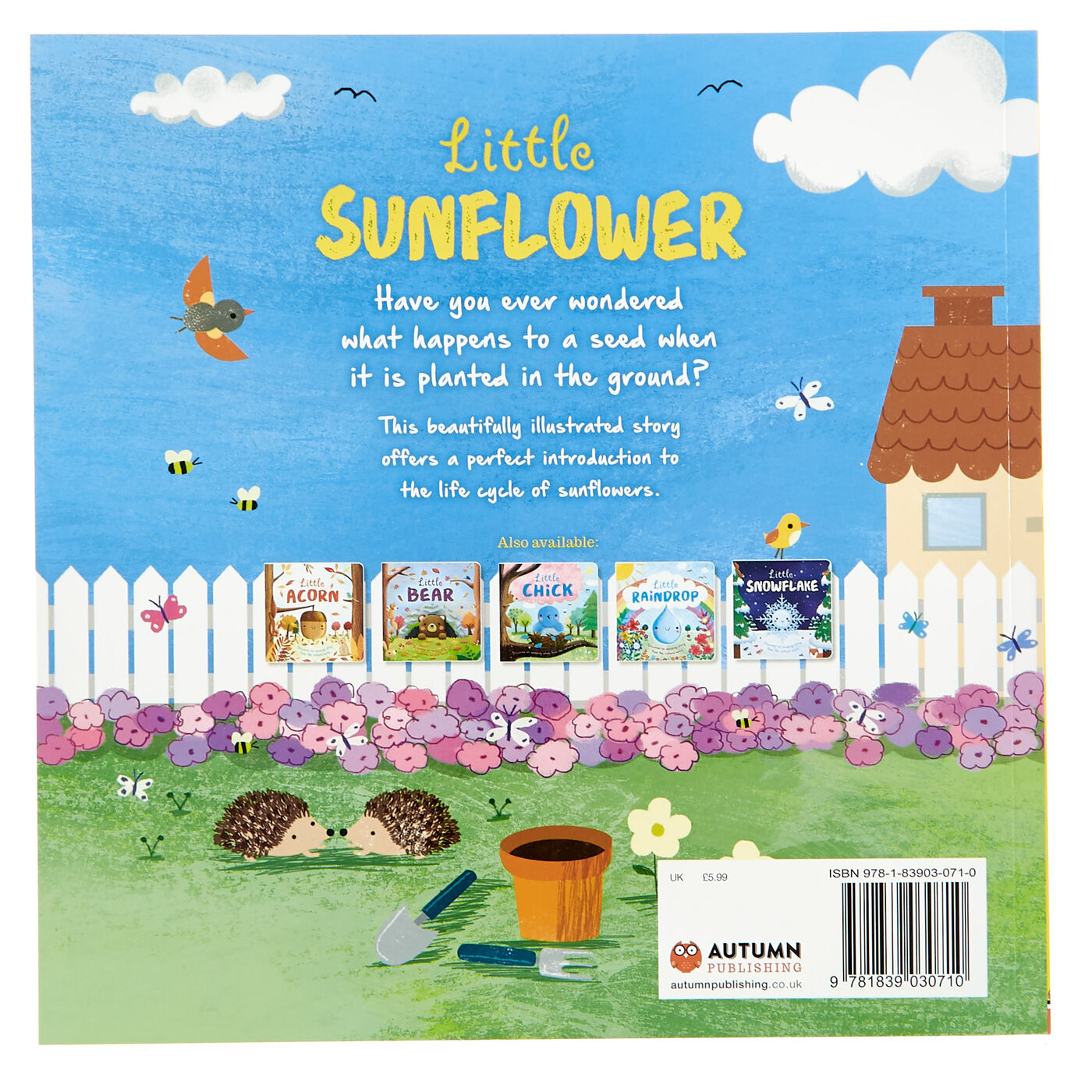 Buy Little Sunflower Storybook for GBP 1.29 | Card Factory UK