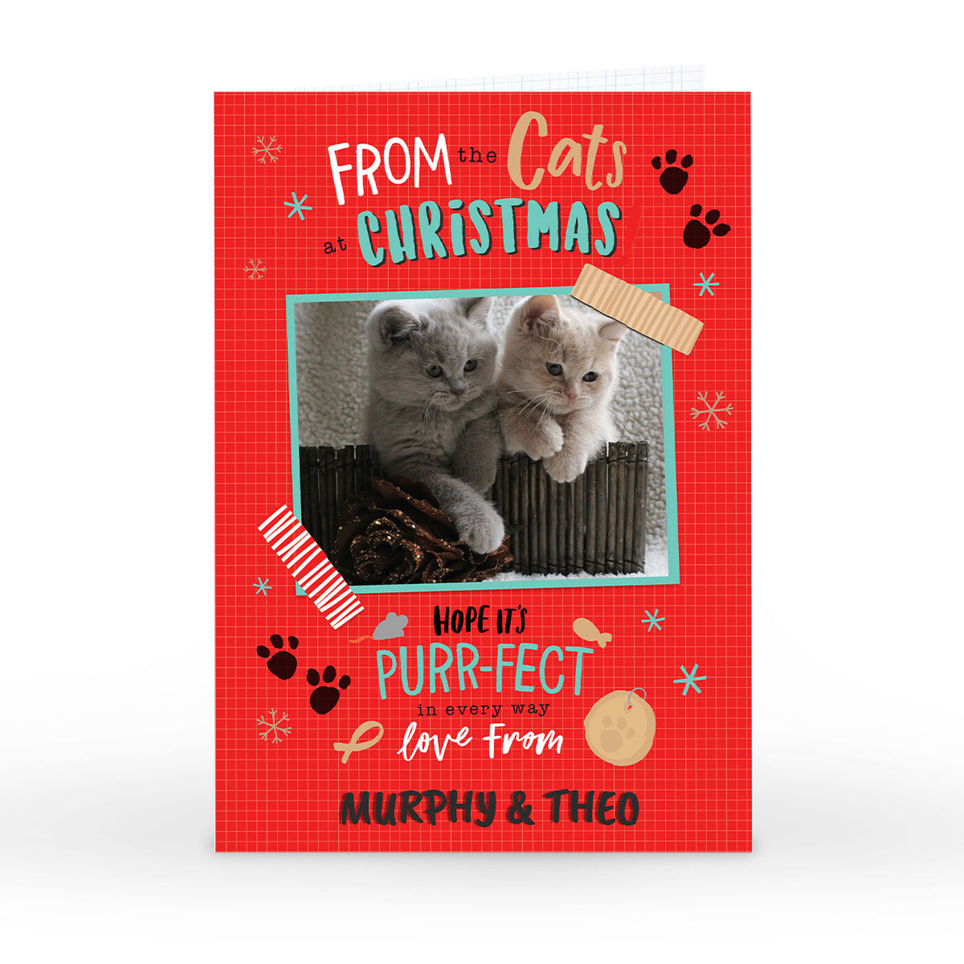 Buy Photo Christmas Card - From The Cats for GBP 1.79 | Card Factory UK