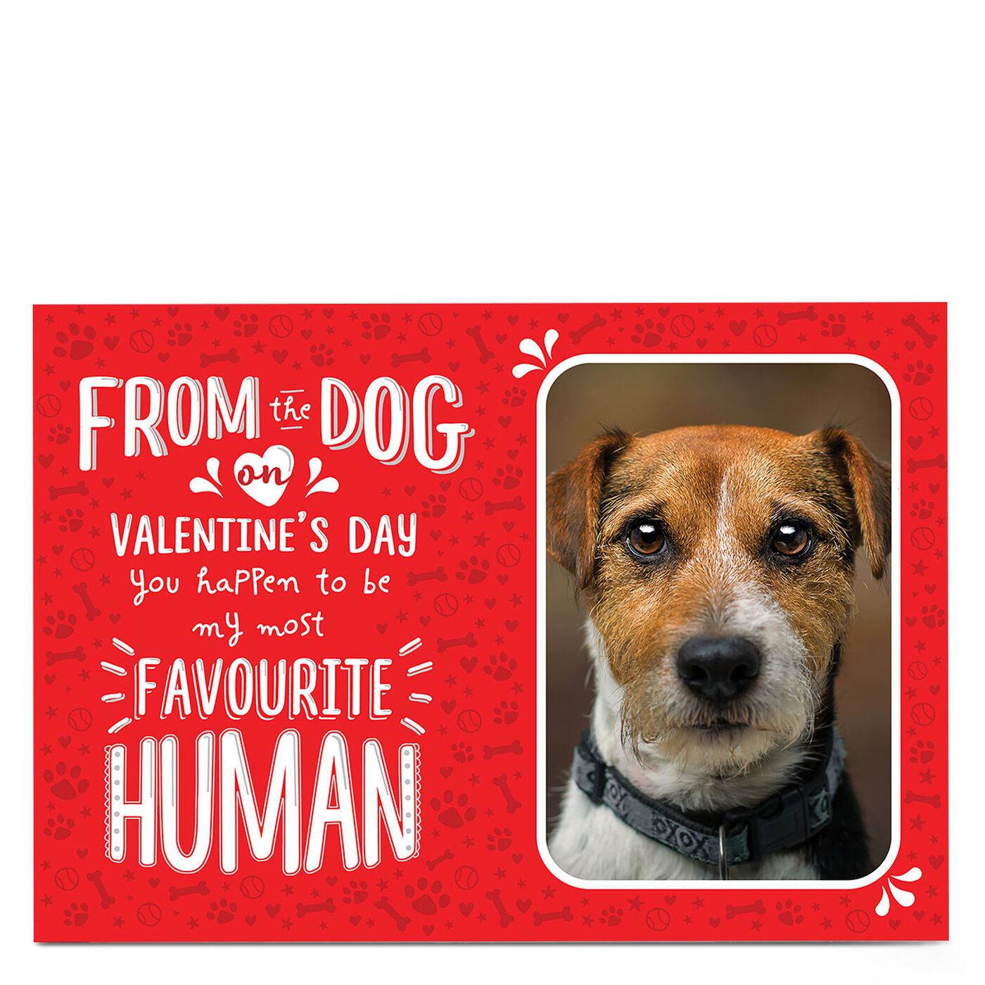 Buy Photo Valentine's Day Card - From The Dog for GBP 1.79 | Card ...