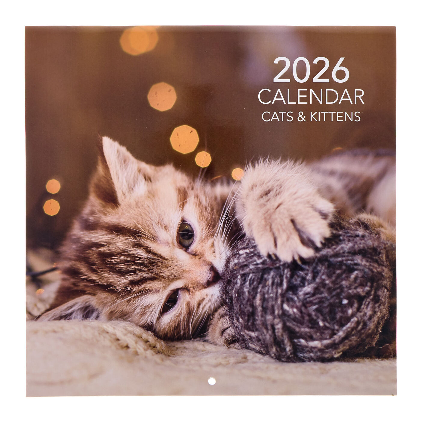 Buy Cats & Kittens 2026 Square Wall Calendar for GBP 2.99 | Card Factory UK