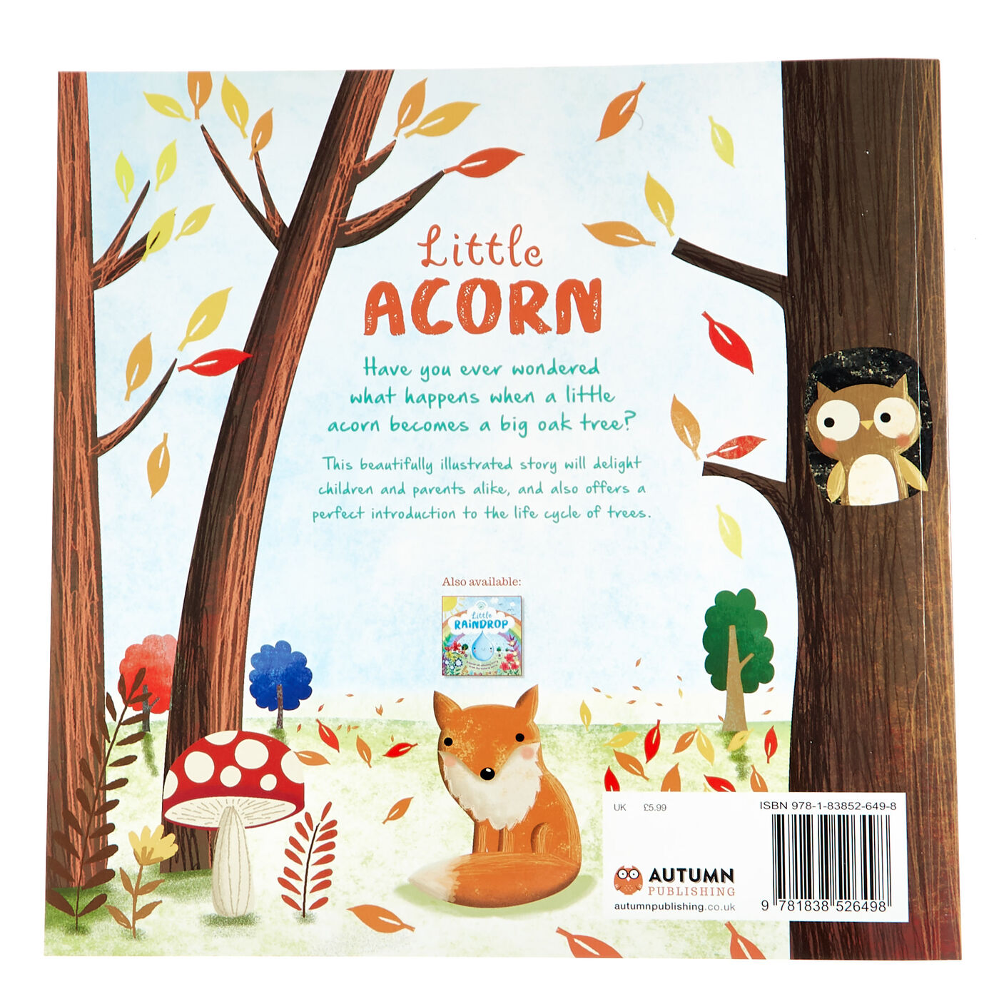Buy Nature Stories: Little Acorn Storybook for GBP 1.29 | Card Factory UK