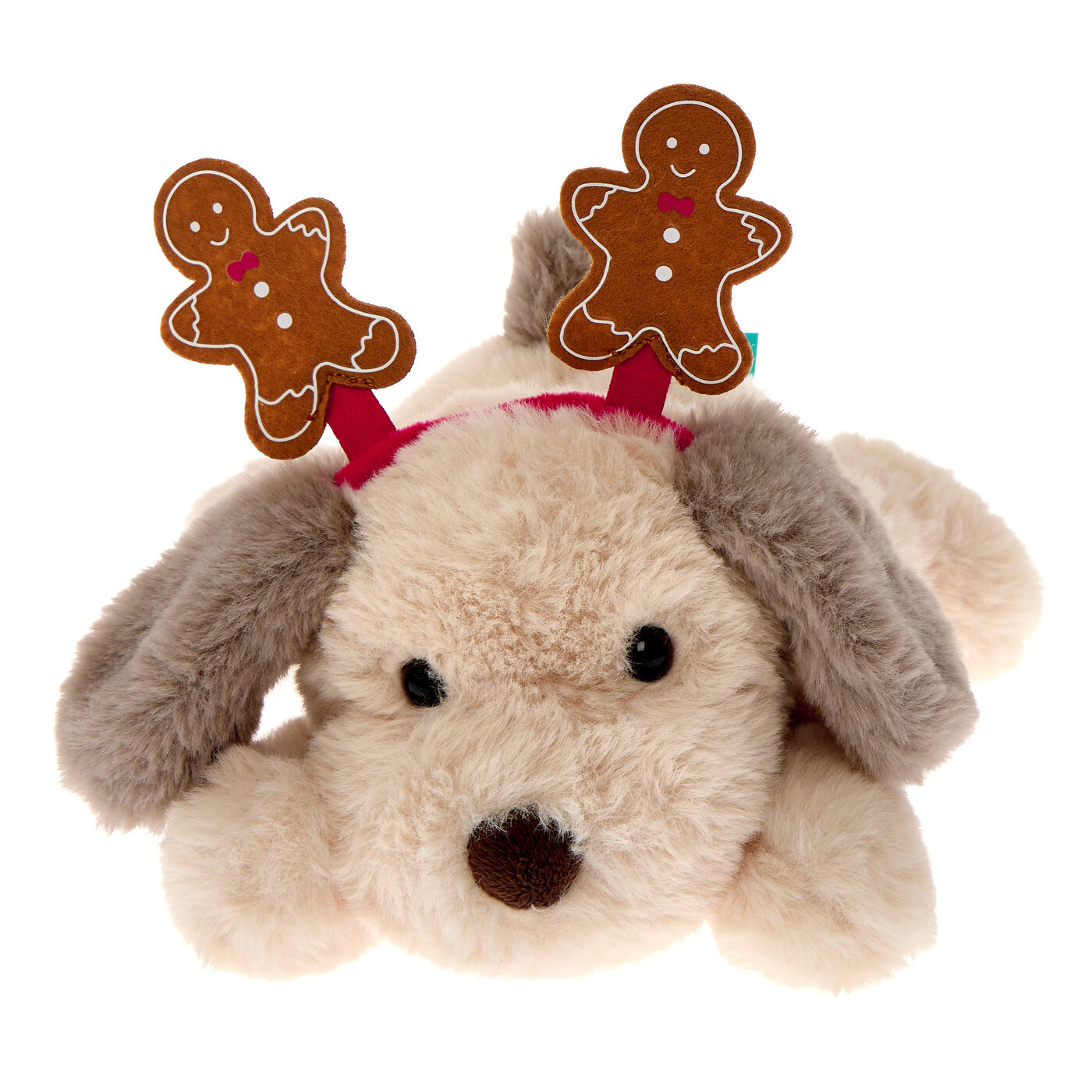 Buy Small Puppy With Boppers Soft Toy for GBP 4.99 | Card Factory UK