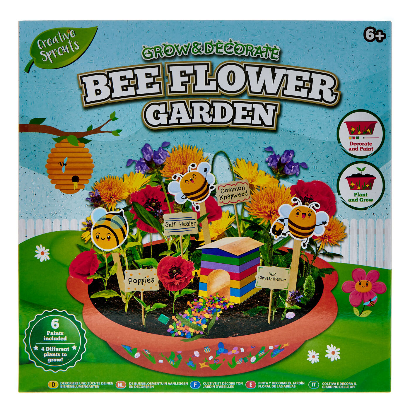 Buy Grow Your Own Bee Garden Craft Set for GBP 9.99 | Card Factory UK