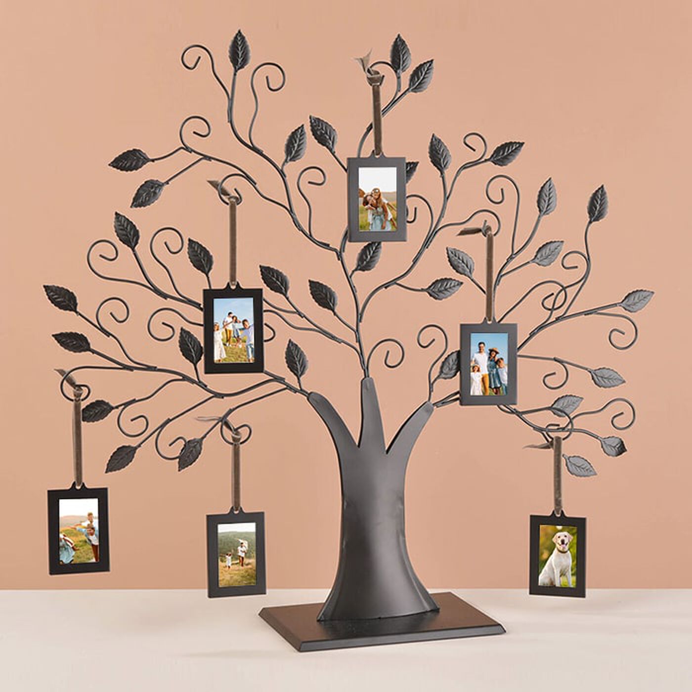 Buy Family Tree 6 Picture Frame for GBP 17.99 | Card Factory UK