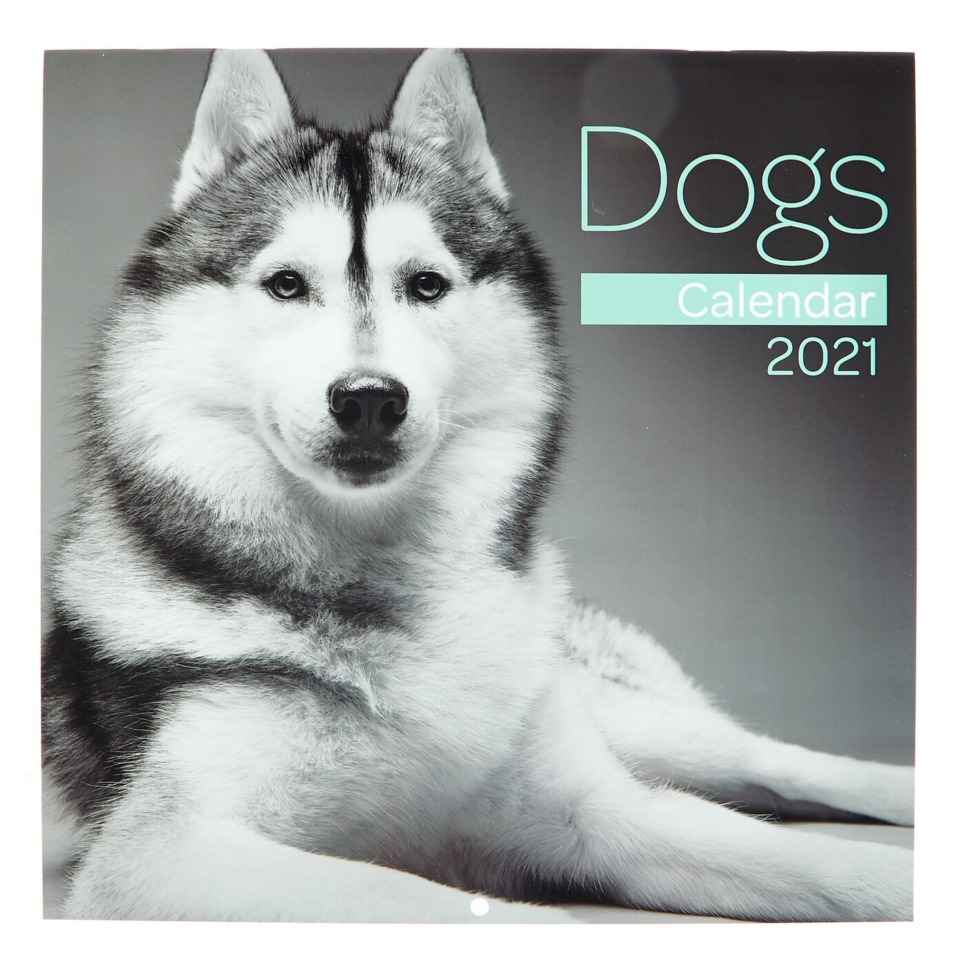 Buy Dogs 2021 Calendar for GBP 1.99 | Card Factory UK