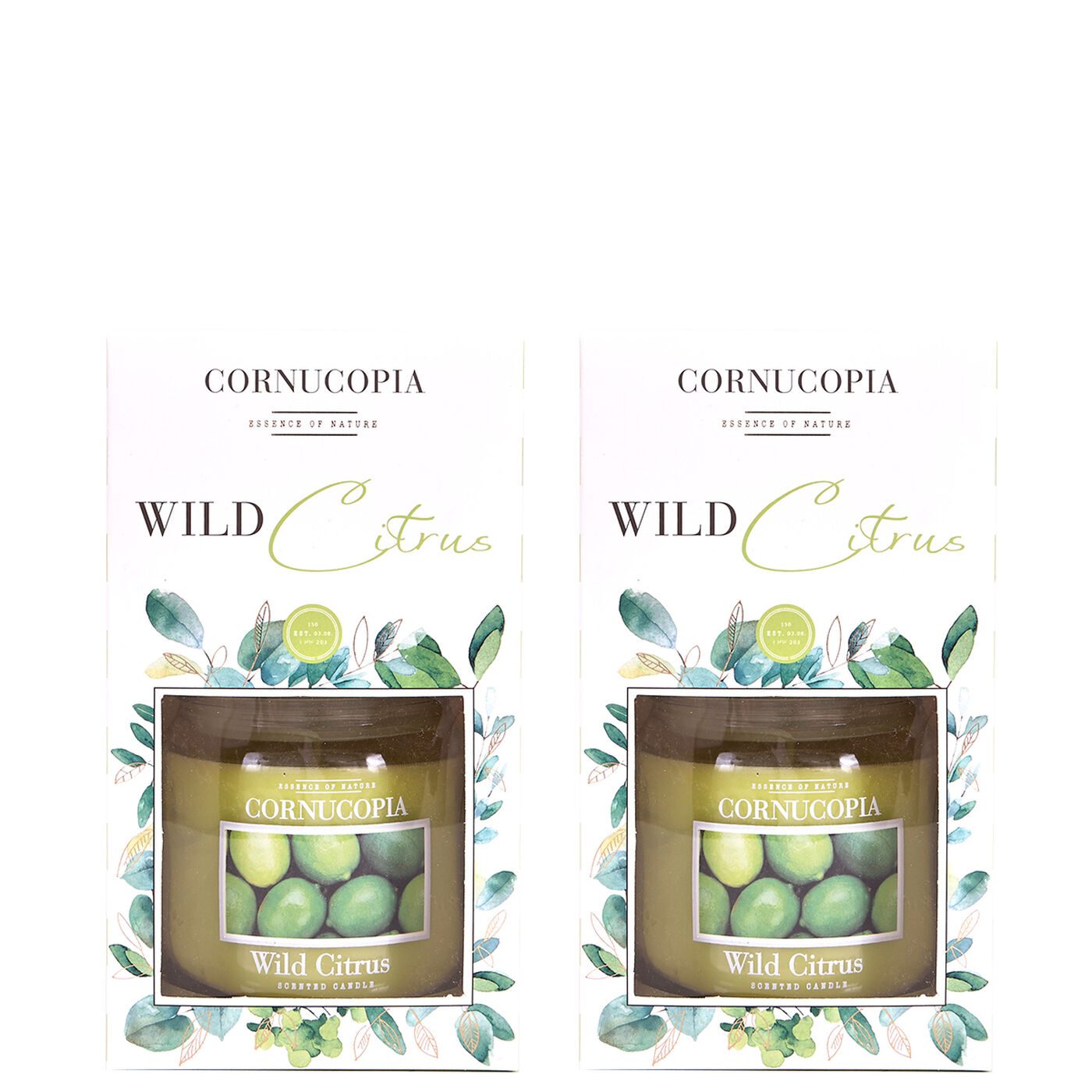 Buy Boxed Cornucopia Scented Candle - Wild Citrus (Set of 2) for GBP 9. ...
