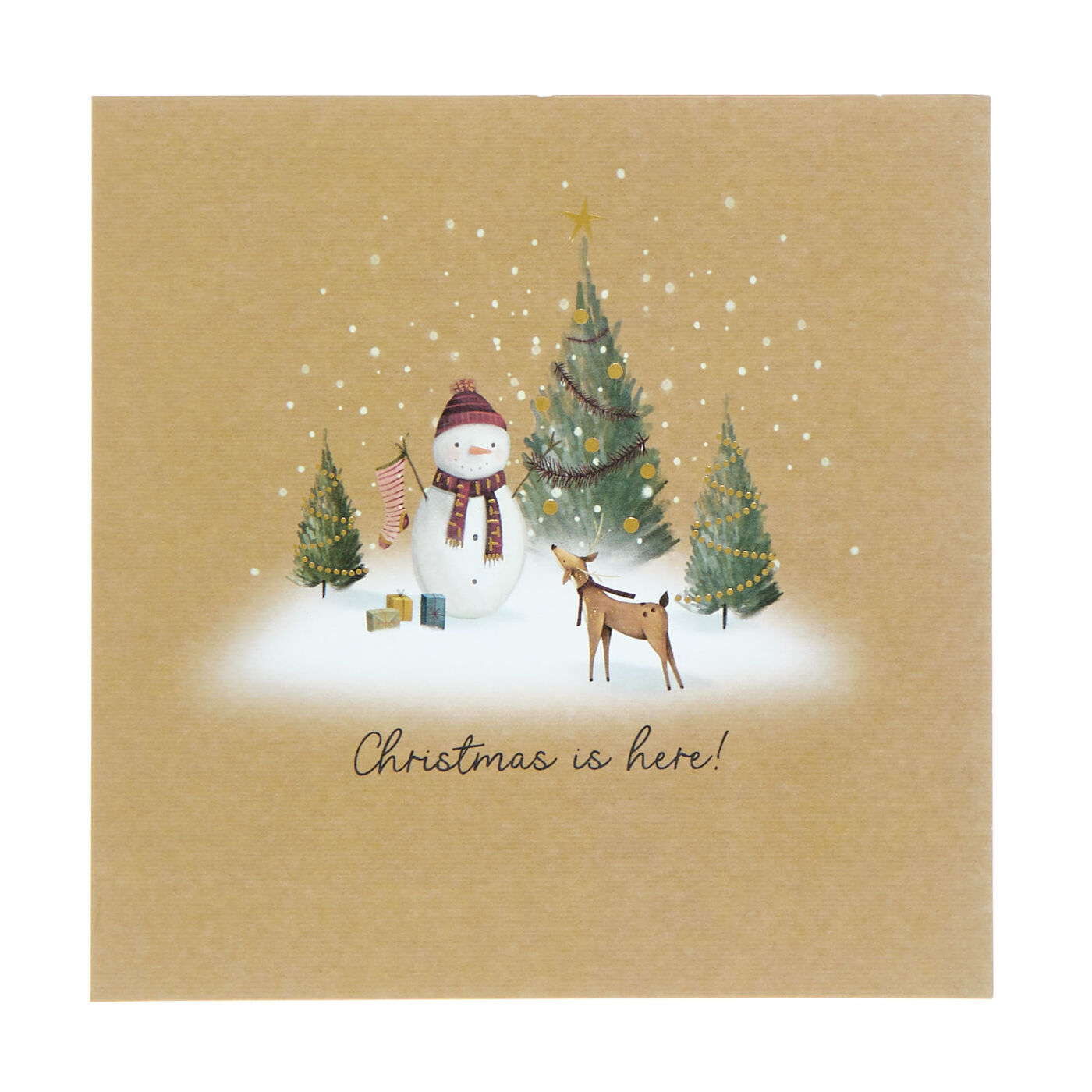 Buy 18 Charity Christmas Cards - Santa & Snowman (2 Designs) for GBP 1. ...