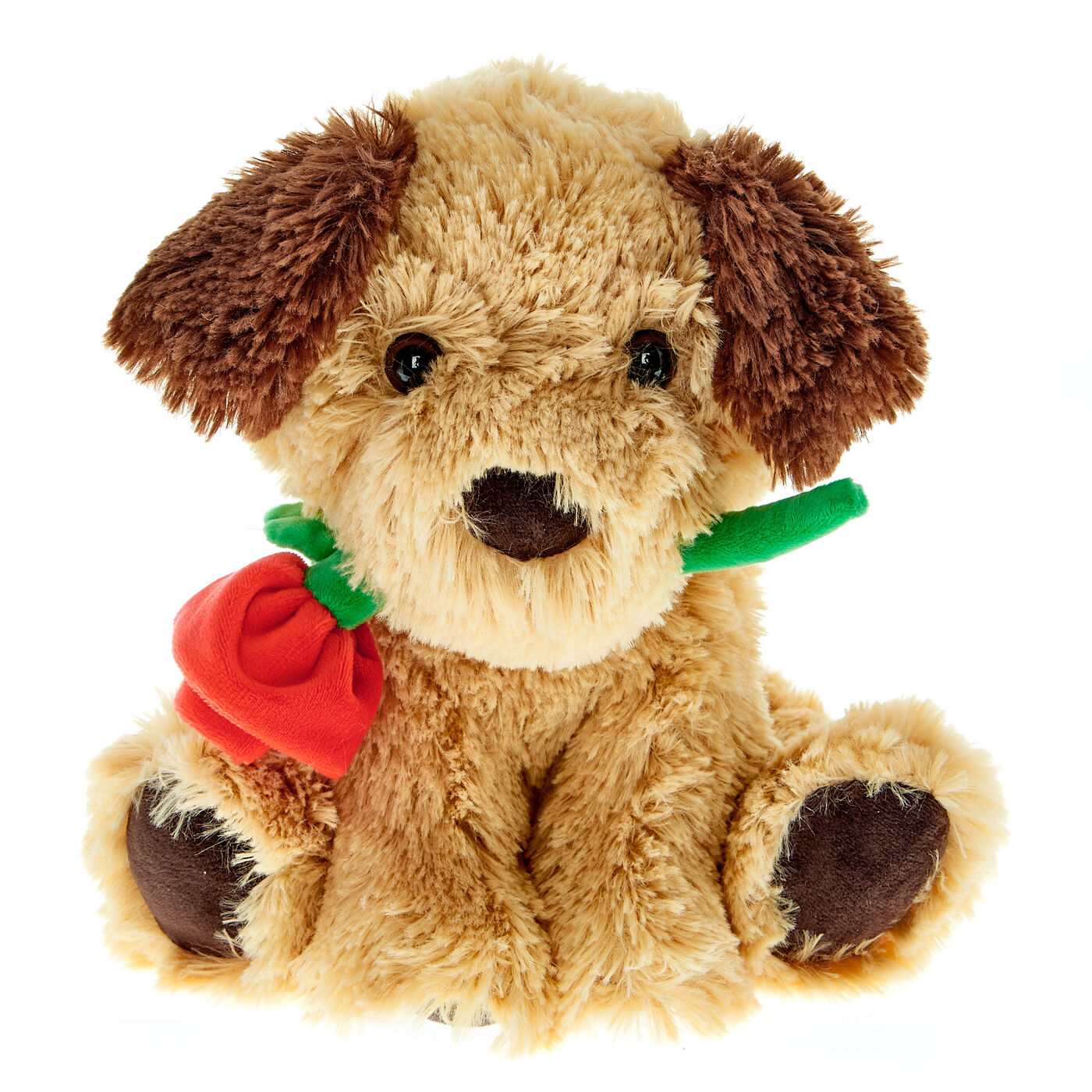 Buy Dog With Rose Soft Toy for GBP 5.99 | Card Factory UK