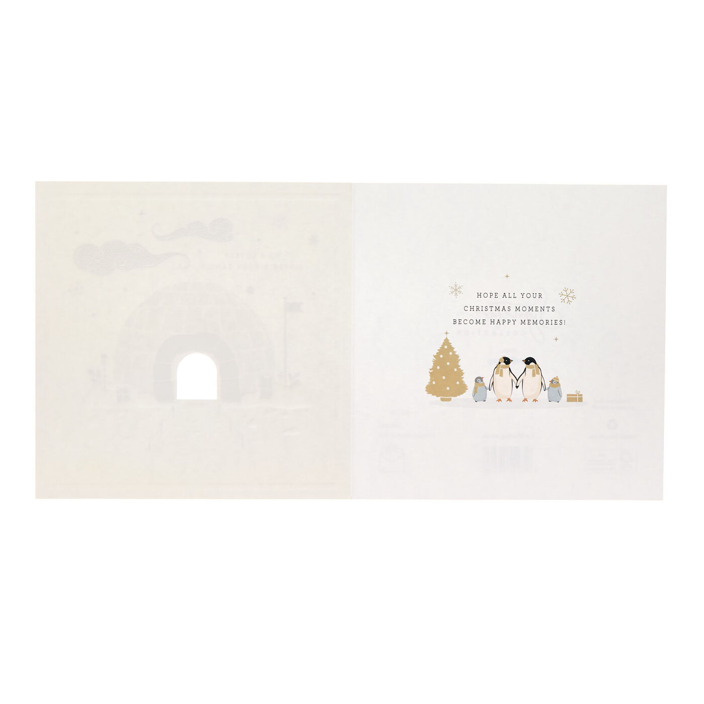 Buy Sister & Family Igloo Christmas Card for GBP 1.49 | Card Factory UK