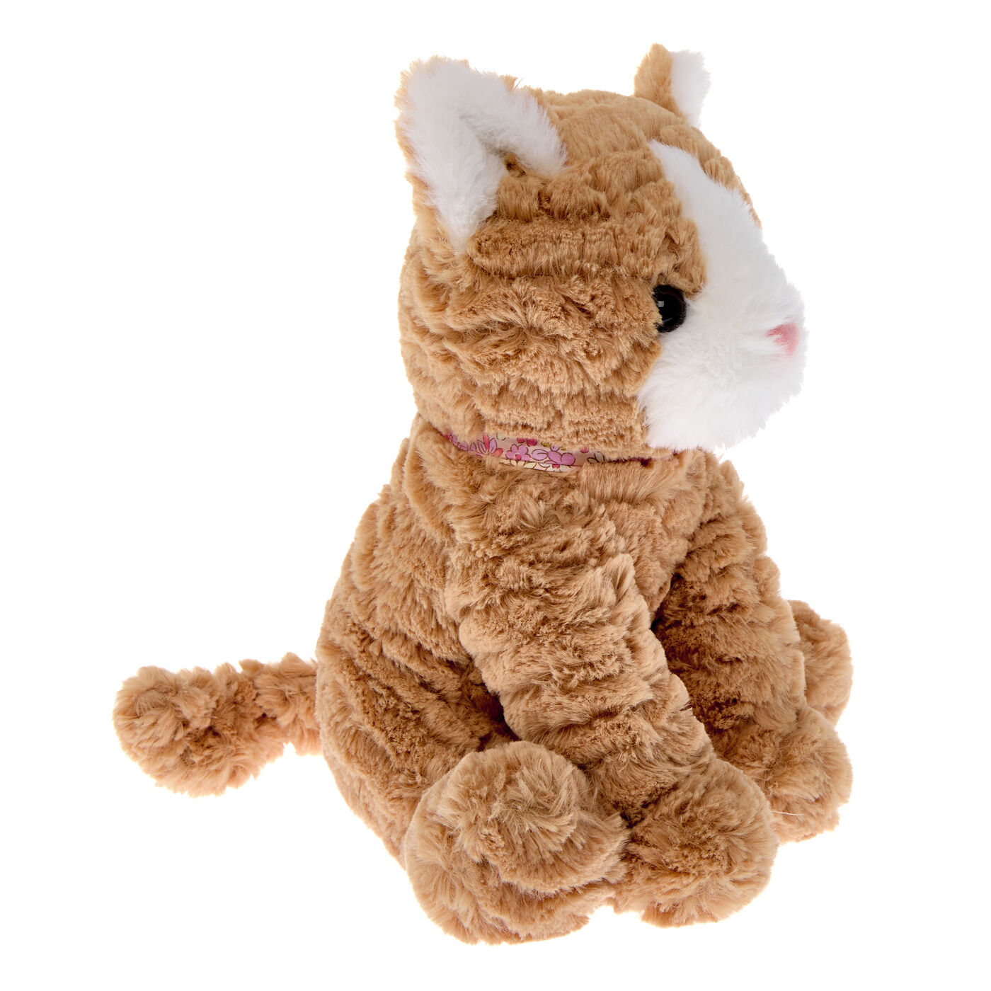 Buy Medium Kitten Soft Toy for GBP 6.99 | Card Factory UK
