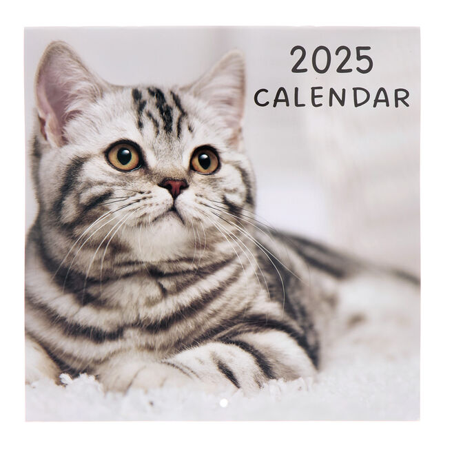 Wall & Desk Calendars 2024 | Card Factory