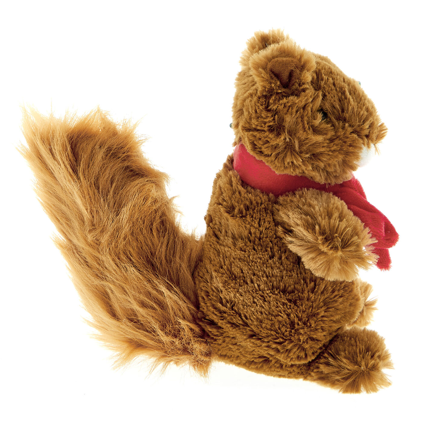 Buy Small Squirrel Soft Toy for GBP 1.00 | Card Factory UK