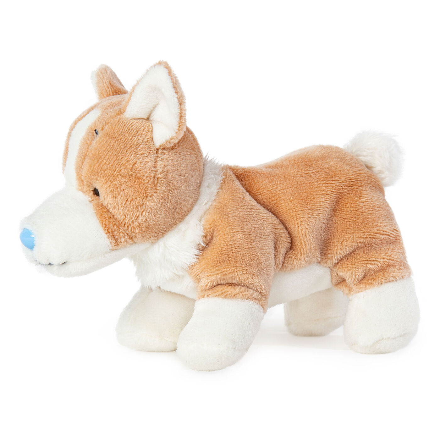 Buy My Blue Nose Friends - Queenie the Corgi Cute Collectable Beanie ...