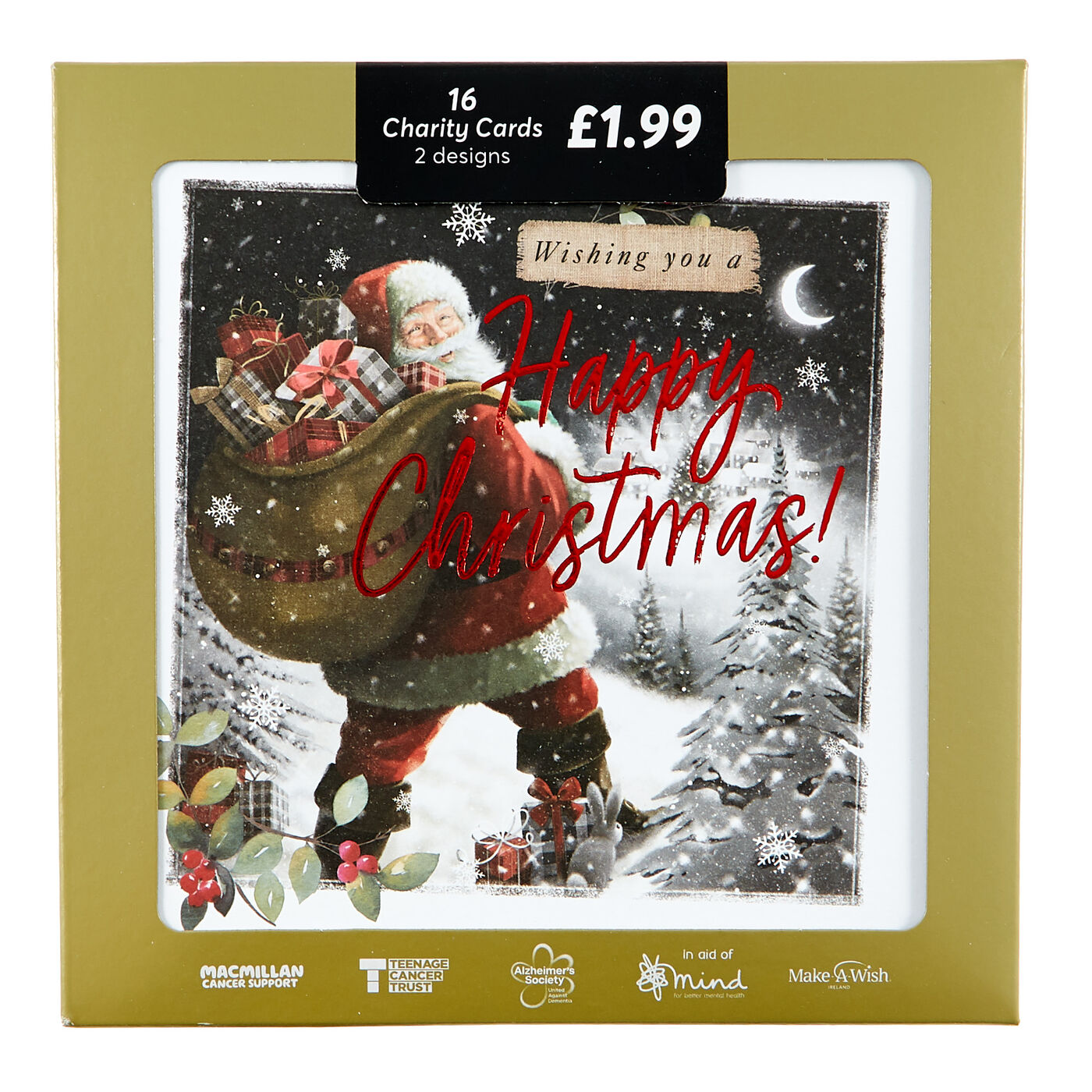 Buy 16 Charity Christmas Cards - Traditional Santa (2 Designs) for GBP ...