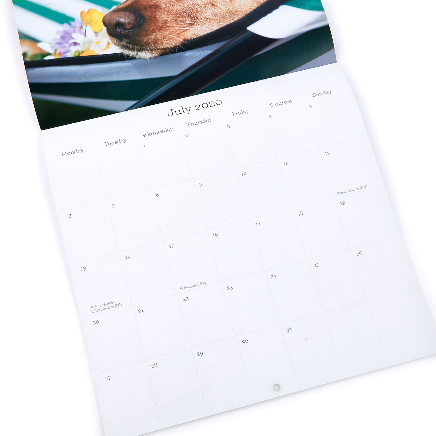 Buy 2020 Calendar - It's A Dog's Life for GBP 1.99 | Card Factory UK