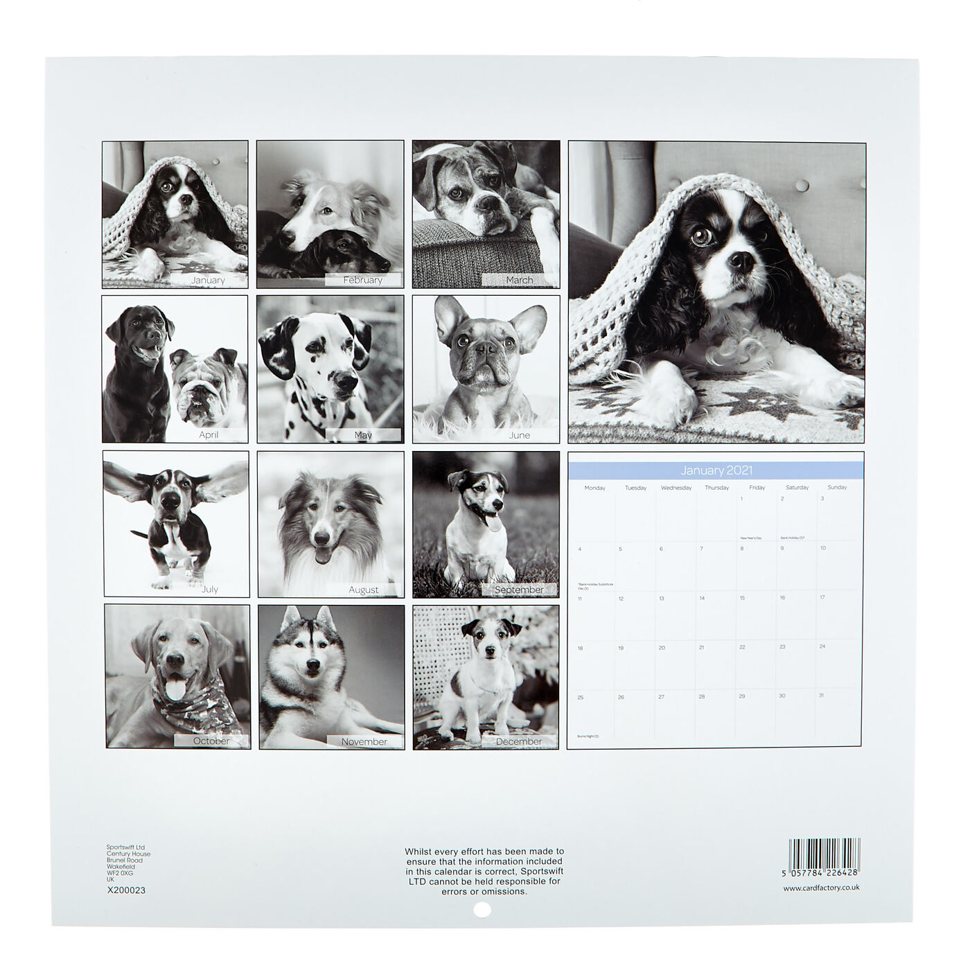 Buy Dogs 2021 Calendar for GBP 1.99 | Card Factory UK
