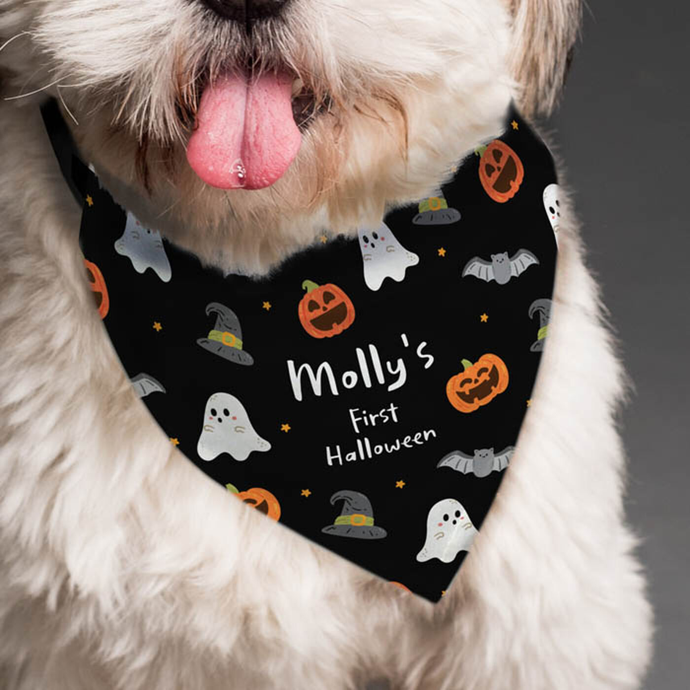 Buy Personalised Halloween Dog Bandana for GBP 13.99 | Card Factory UK