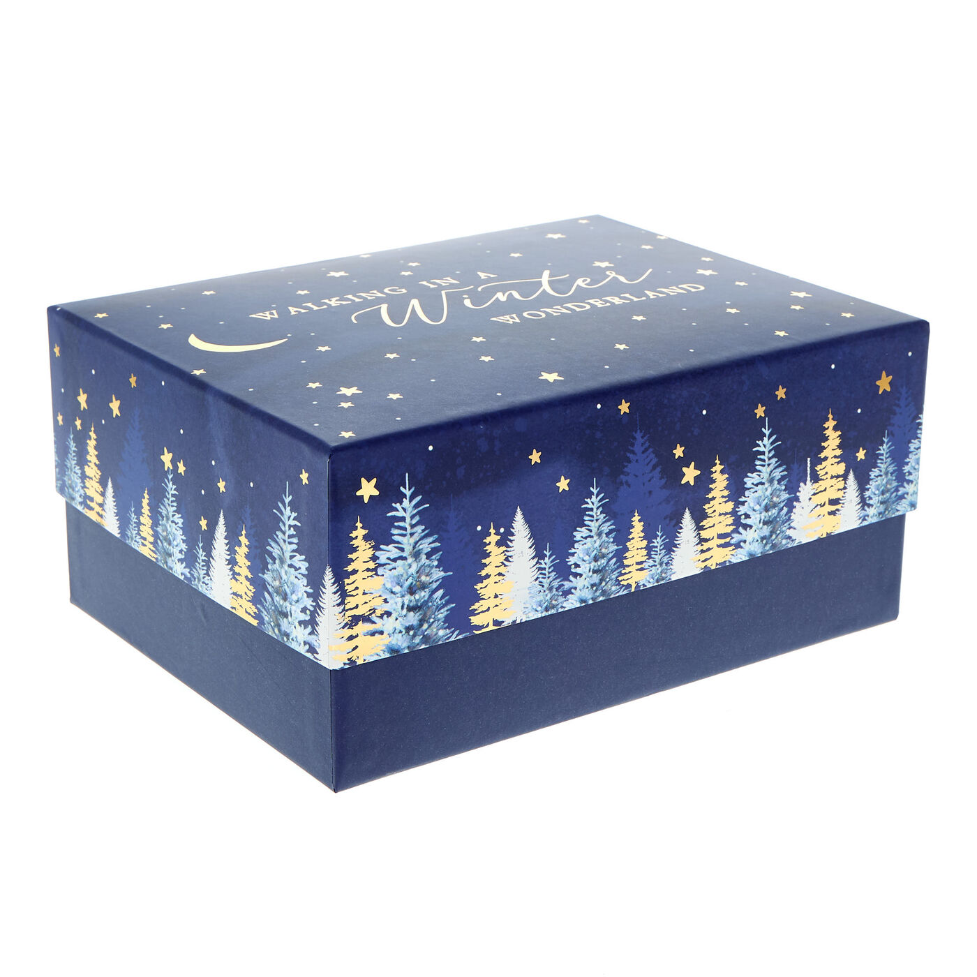 Buy Walking in a Winter Wonderland Gift Boxes - Set of 4 for GBP 12.56 ...
