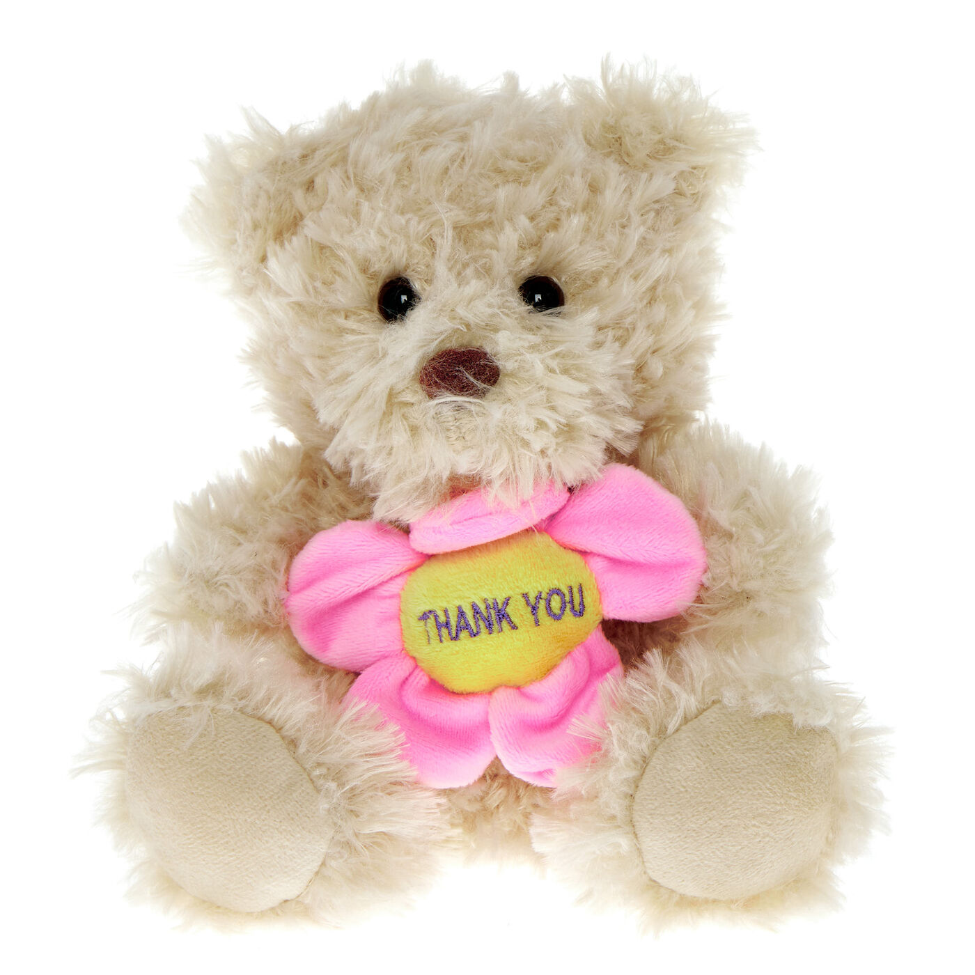 Buy Small Thank You Bear Soft Toy for GBP 3.99 | Card Factory UK
