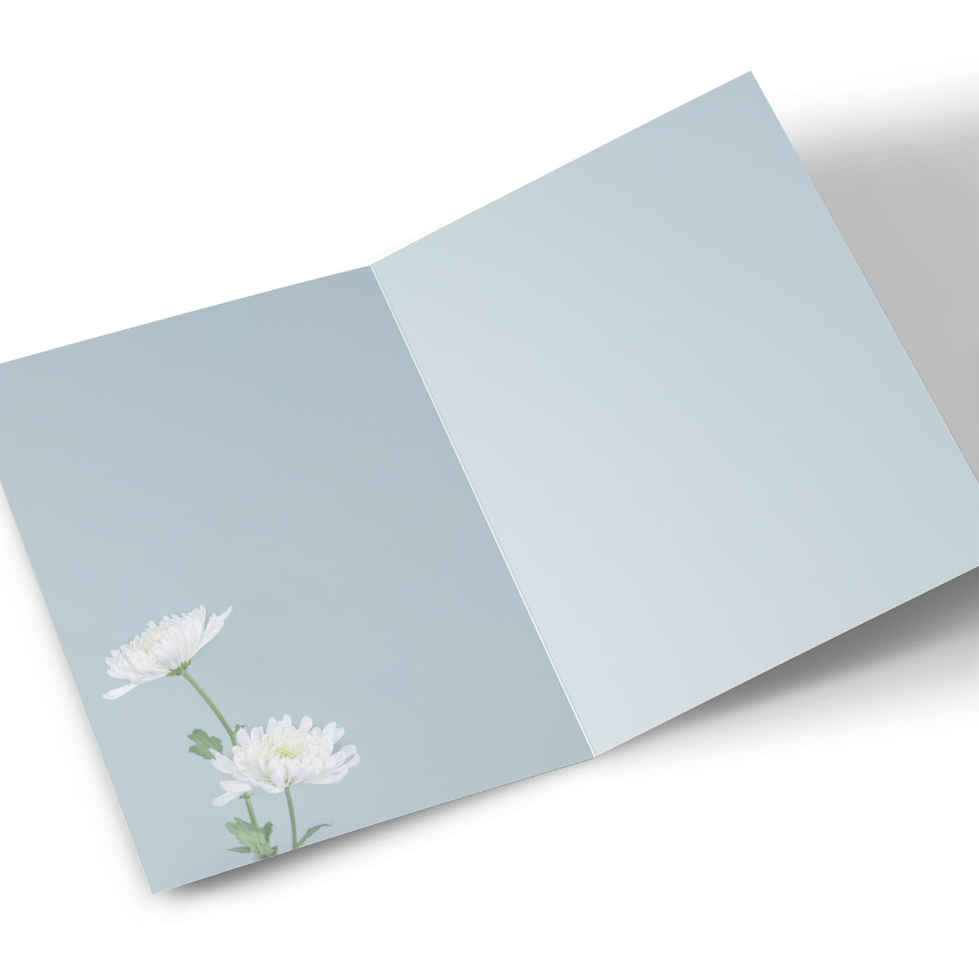 Buy Photo Sympathy Card - The Depth of Loss for GBP 2.99 | Card Factory UK