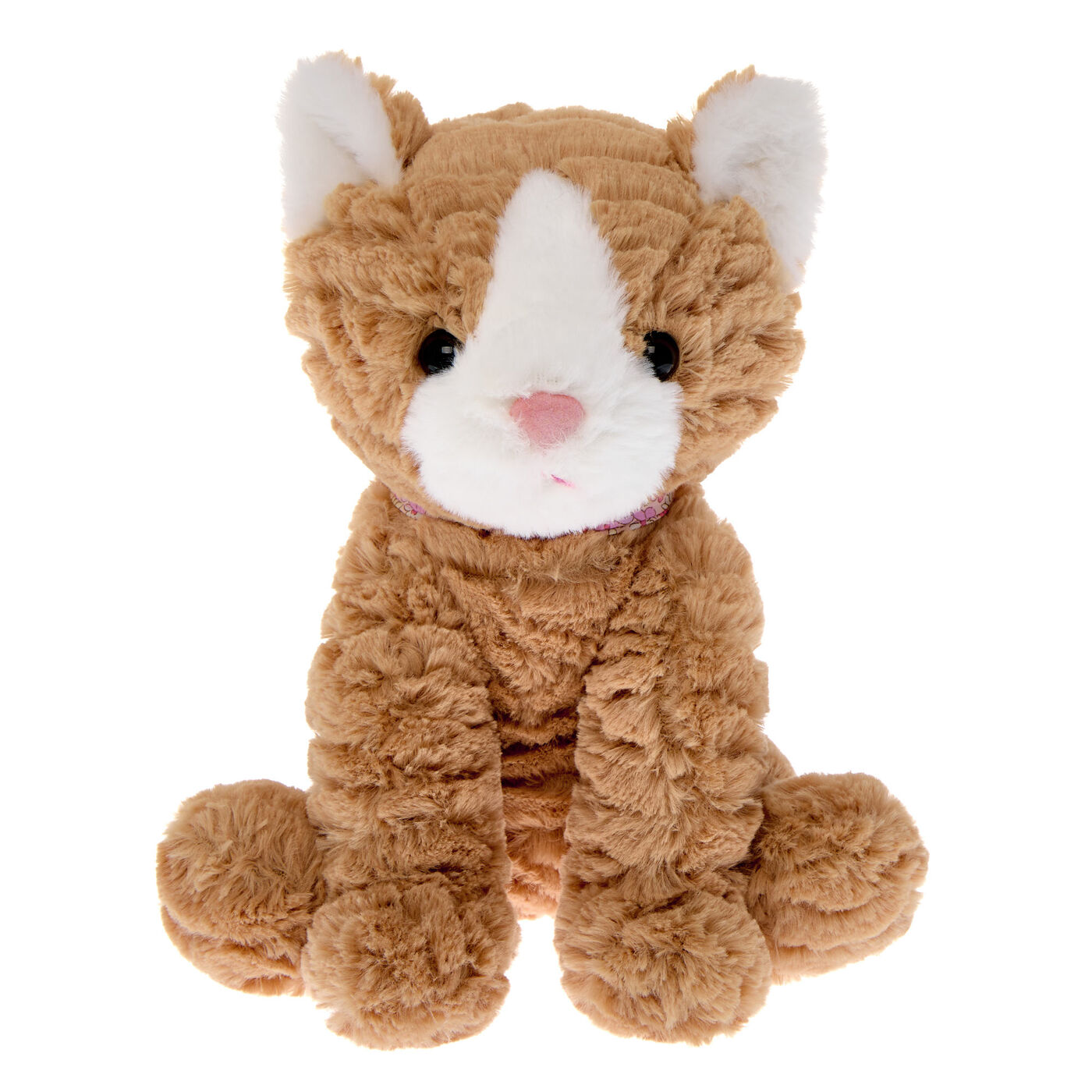 Buy Medium Kitten Soft Toy for GBP 6.99 | Card Factory UK