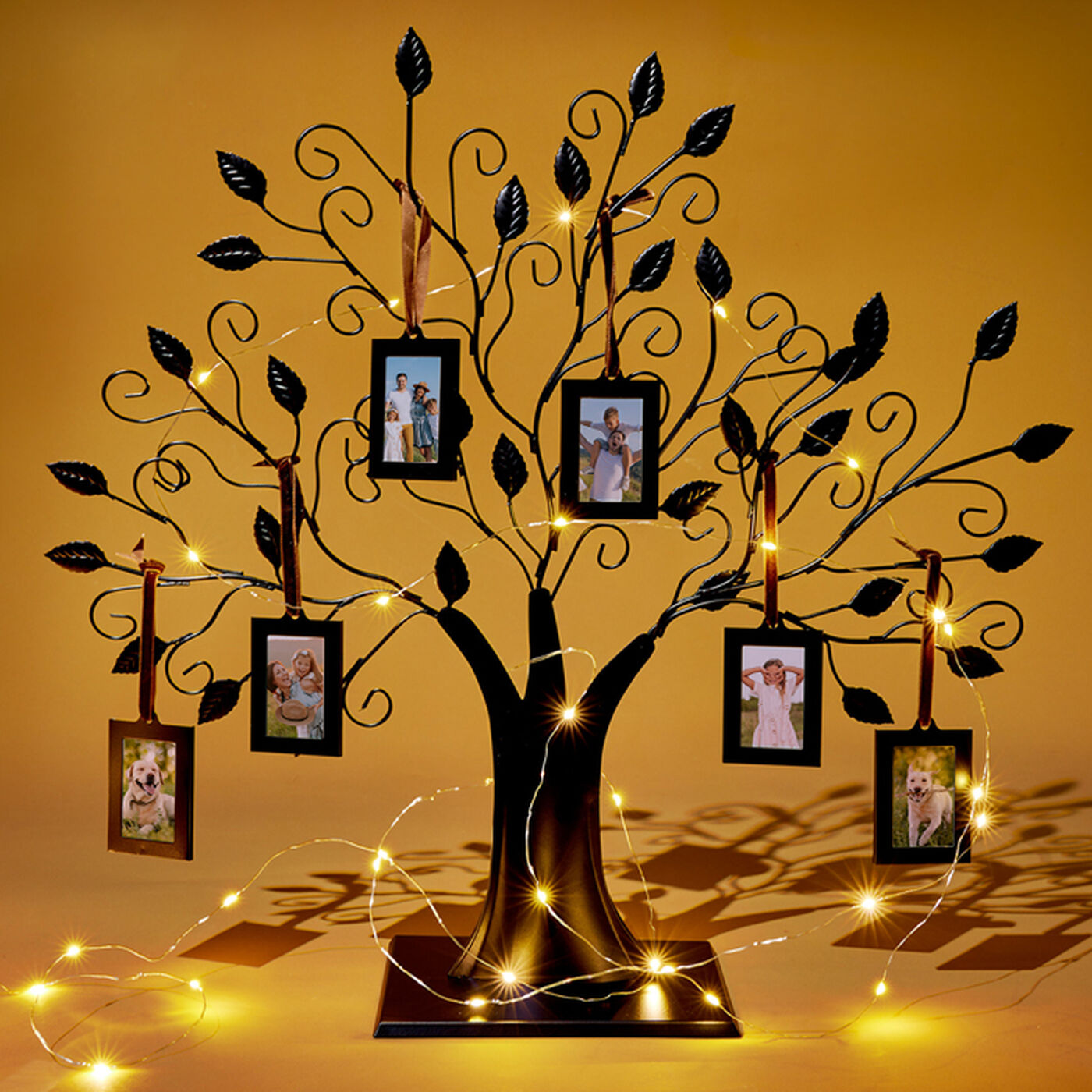 Buy Family Tree 6 Picture Frame for GBP 17.99 | Card Factory UK