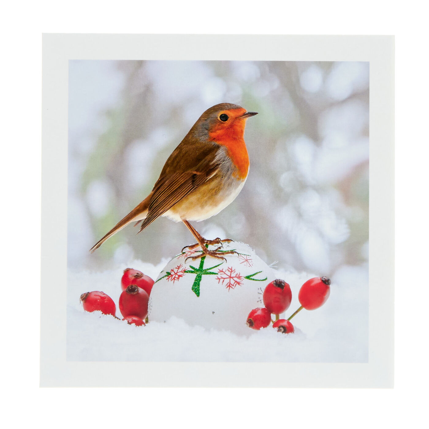 Buy 18 Charity Christmas Cards - Deer & Robin (2 Designs) for GBP 1.99 ...