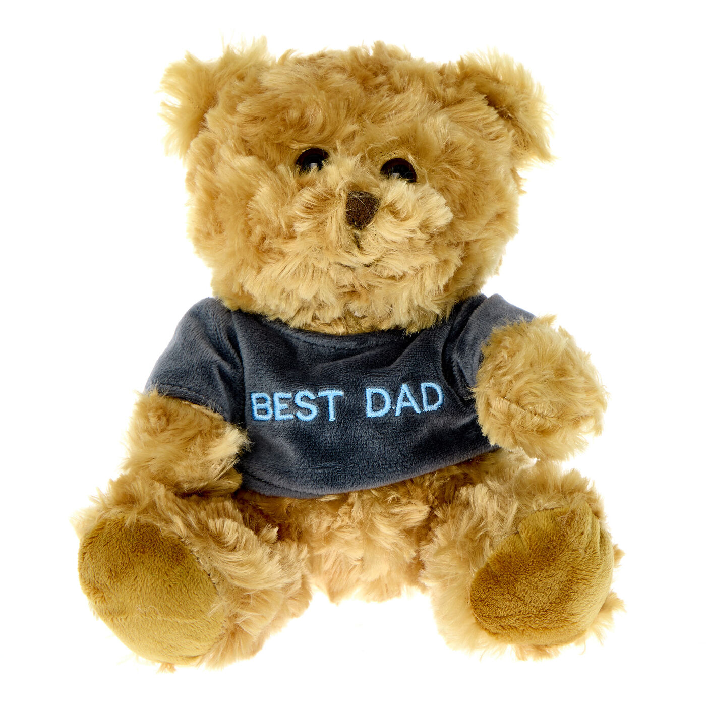 Buy Small Best Dad Bear Soft Toy for GBP 3.99 | Card Factory UK