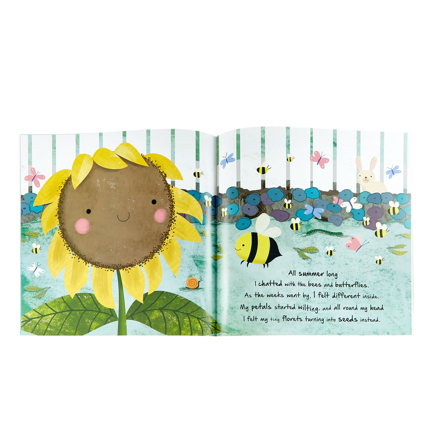 Buy Little Sunflower Storybook for GBP 1.29 | Card Factory UK