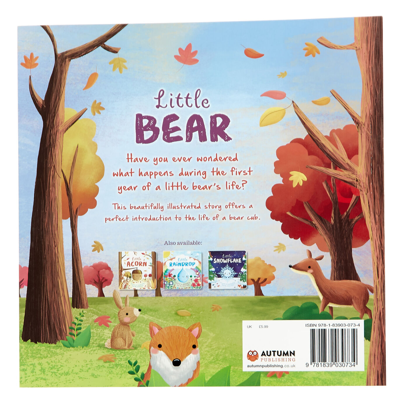 Buy Little Bear Storybook for GBP 1.29 | Card Factory UK