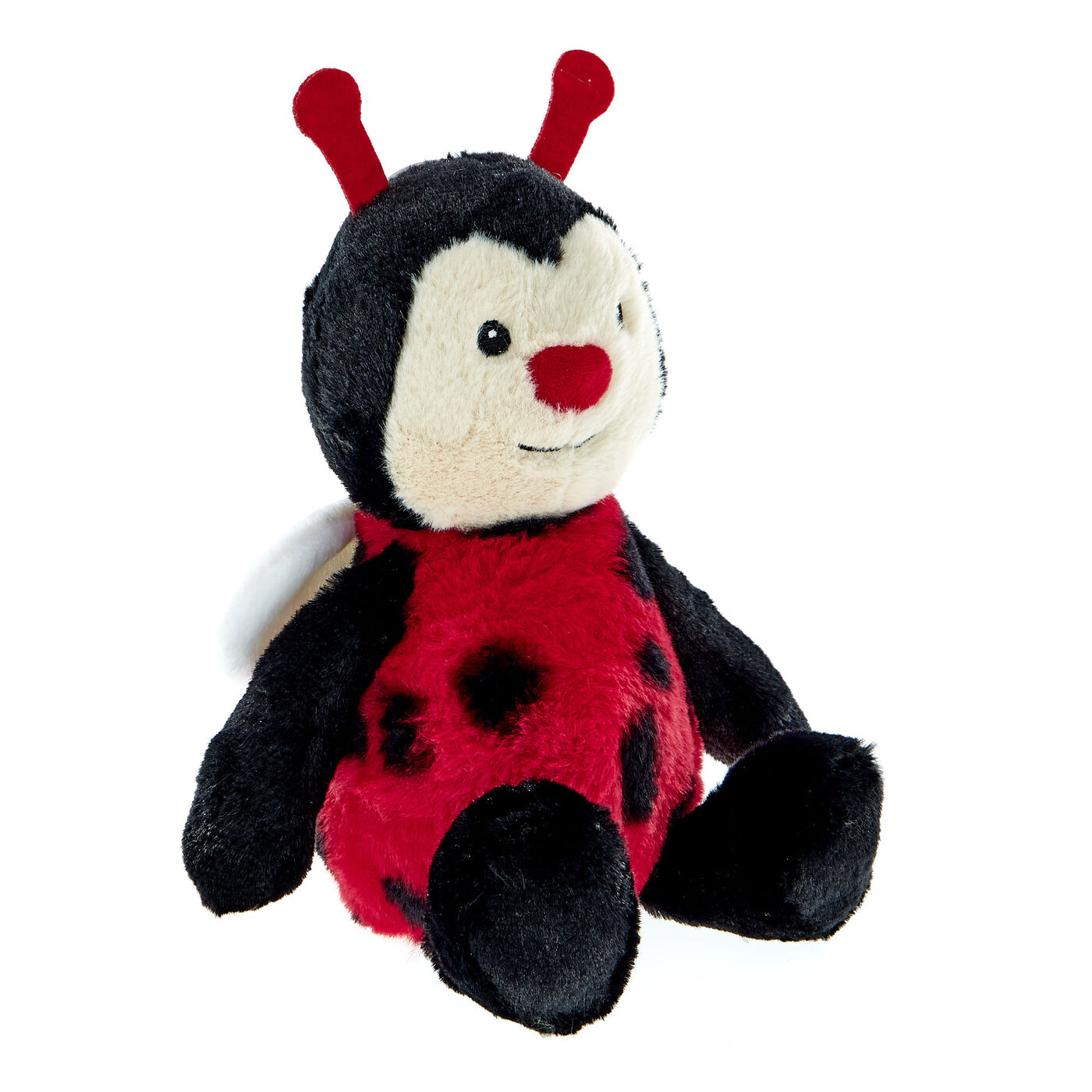 Buy Ladybird Soft Toy for GBP 2.99 | Card Factory UK