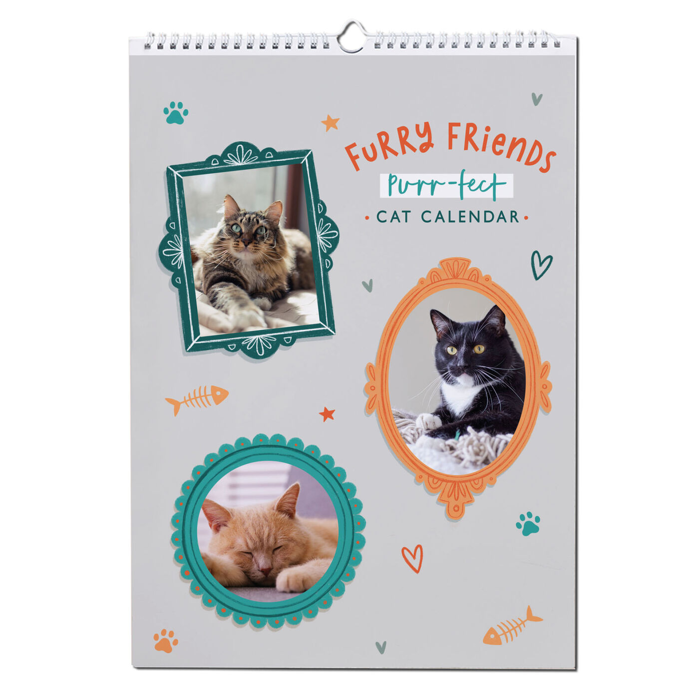 Buy Photo Upload Cats Planner Calendar for GBP 9.99 | Card Factory UK