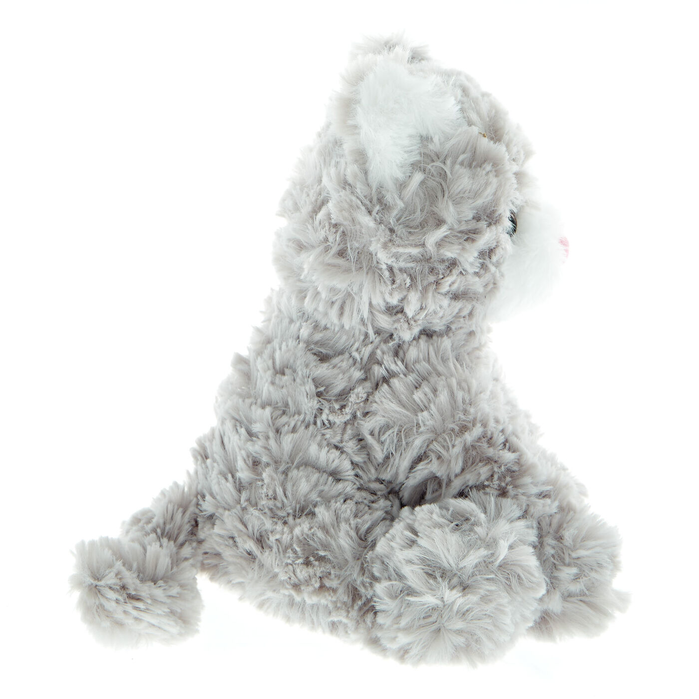 Buy Small Kitten Soft Toy for GBP 1.00 | Card Factory UK
