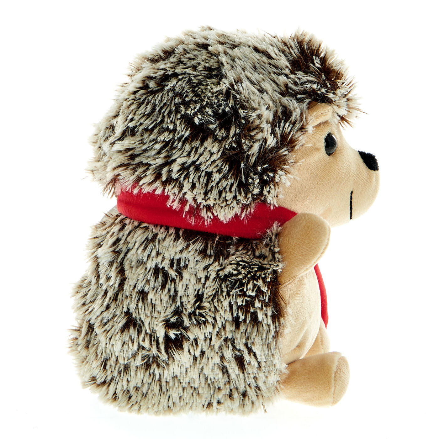 Buy Small Hedgehog Soft Toy for GBP 2.00 | Card Factory UK