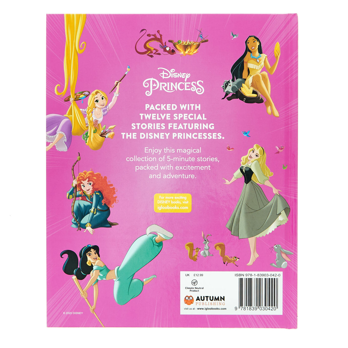 Buy Disney Princess: 5 Minute Stories for GBP 4.99 | Card Factory UK