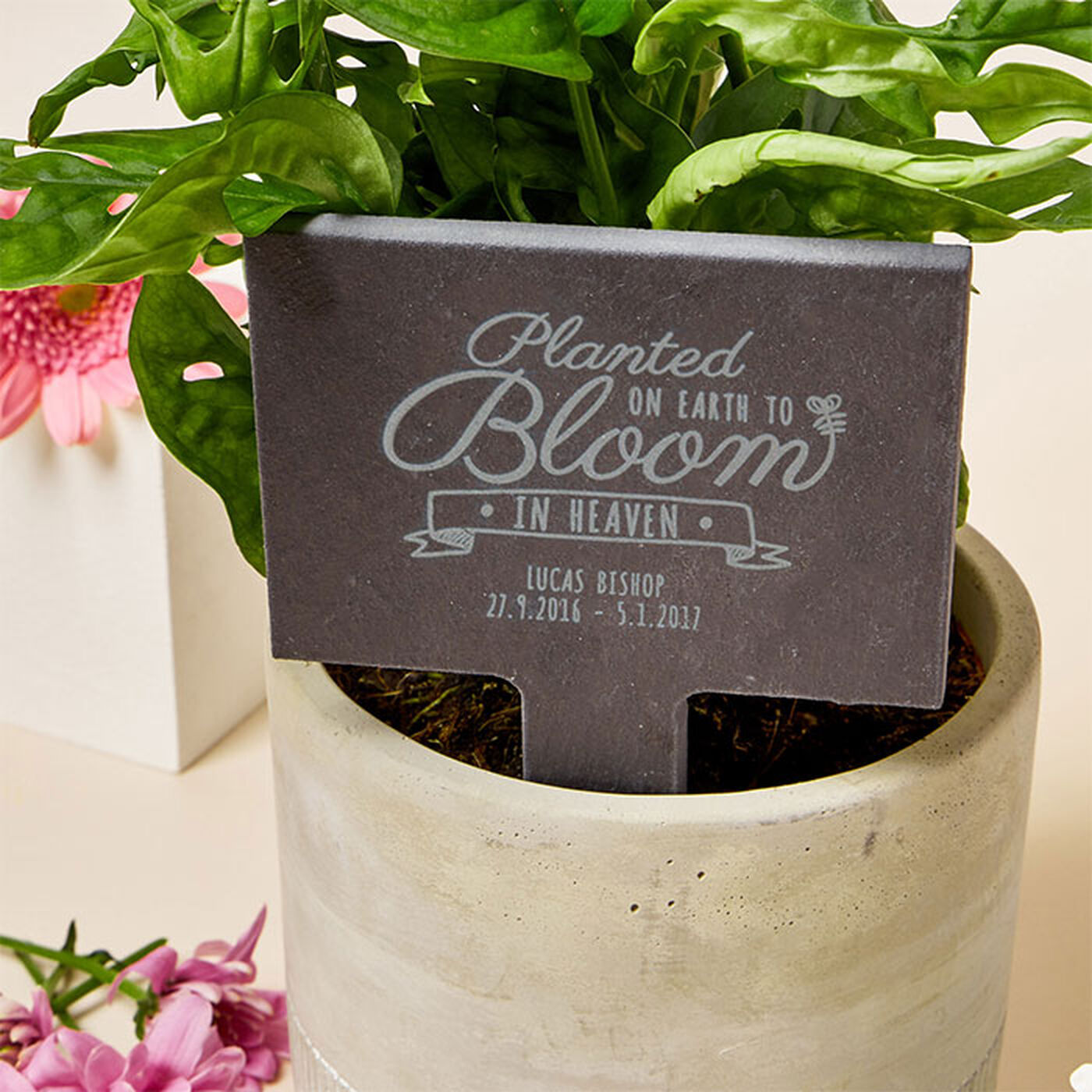 Engraved Slate Plant Marker - Bloom In Heaven | GettingPersonal.co.uk