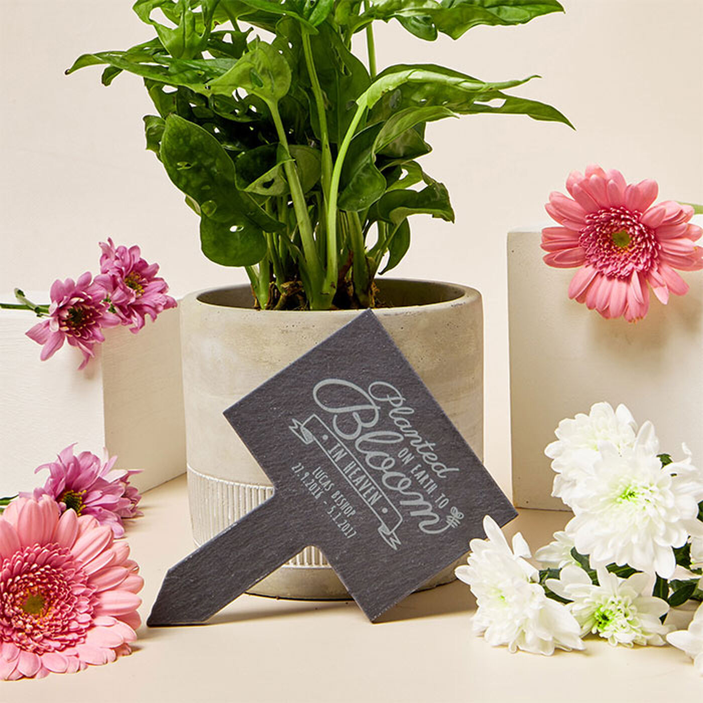 Engraved Slate Plant Marker - Bloom In Heaven | GettingPersonal.co.uk