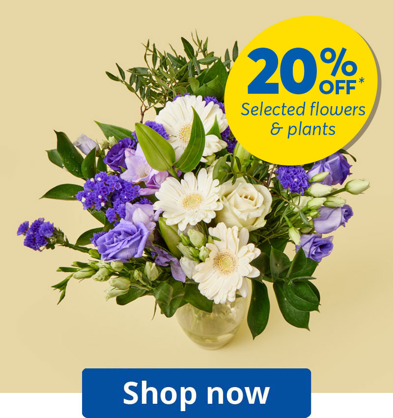 Buy Platinum Collection Birthday Card - Nanna Flowers for GBP 1.79 ...