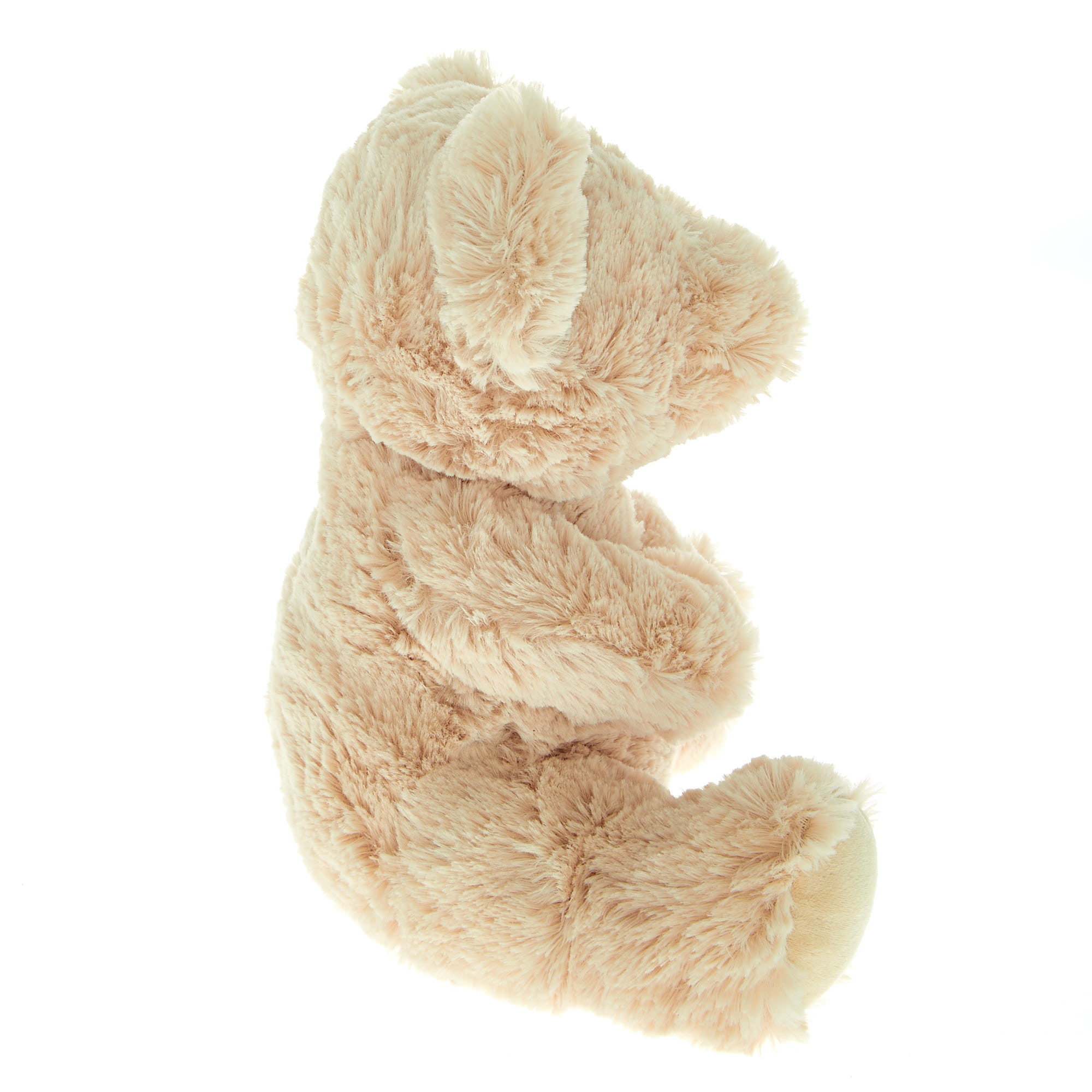 Buy Large Bear with Rose Soft Toy for GBP 5.99 | Card Factory UK