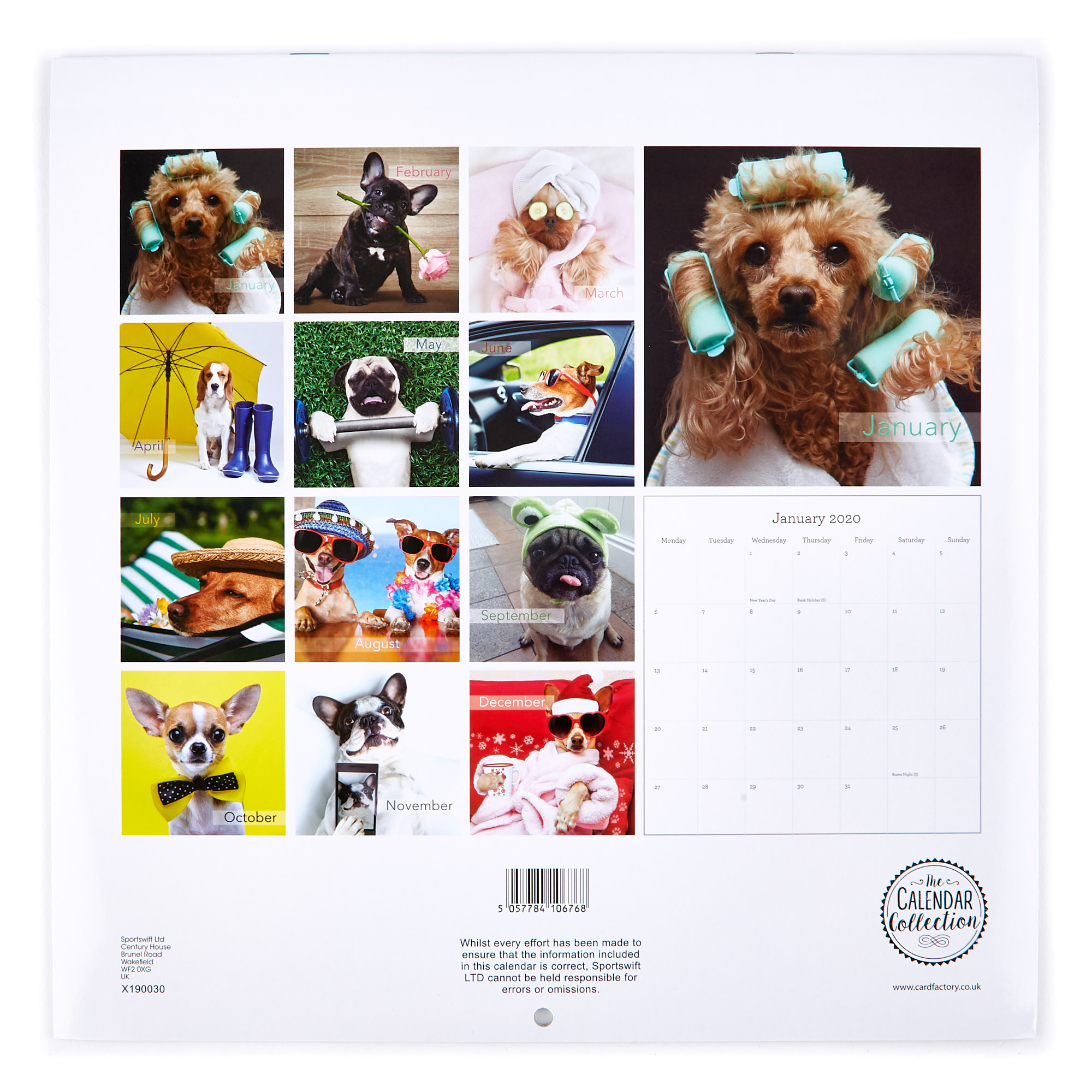 Buy 2020 Calendar - It's A Dog's Life for GBP 1.99 | Card Factory UK